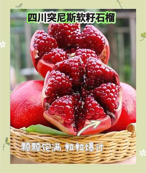 软籽石榴上火吗_软籽石榴吃多了会上火吗-第1张图片-山城妙识