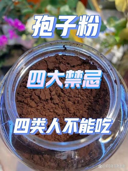 灵芝孢子粉什么人不能吃_七大禁忌有哪些-第2张图片-山城妙识