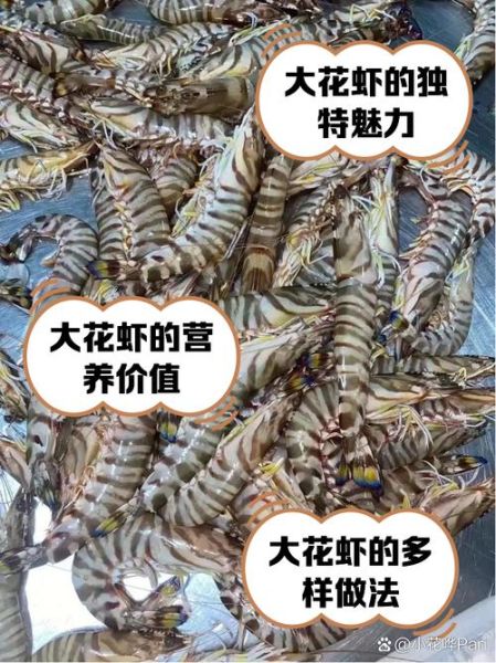 大花虾怎么做好吃_大花虾营养价值高吗-第1张图片-山城妙识