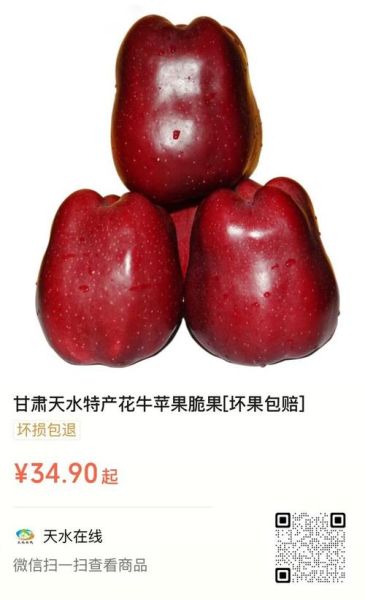 花牛苹果多少钱一斤_花牛苹果价格行情-第3张图片-山城妙识 花牛苹果多少钱一斤_花牛苹果价格行情-第3张图片-山城妙识