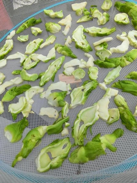 儿菜咸菜怎么腌制_儿菜咸菜腌制方法-第1张图片-山城妙识