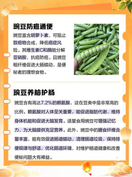 豌豆的营养价值与功效_豌豆的禁忌有哪些-第1张图片-山城妙识
