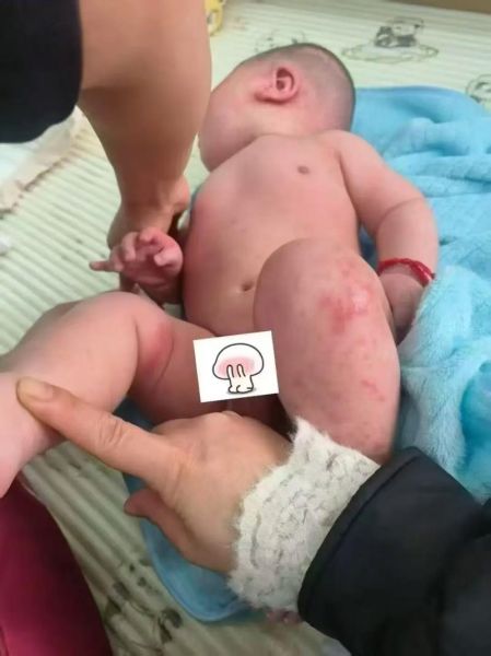 进口羊奶粉哪个牌子好_进口羊奶粉十大名牌排行榜-第3张图片-山城妙识