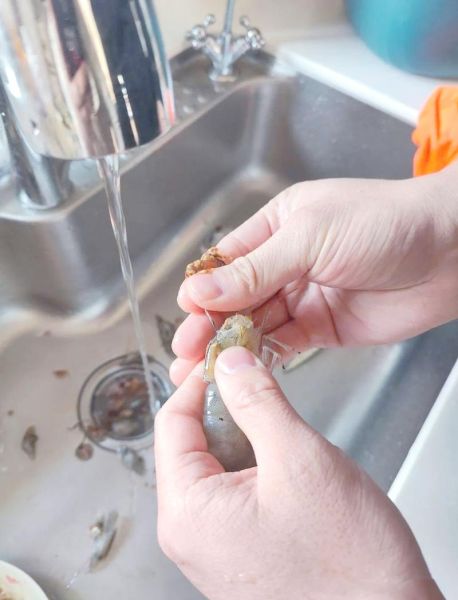 白灼虾要不要去虾线_虾线怎么挑才干净-第1张图片-山城妙识