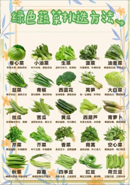 绿色蔬菜图片大全_有哪些常见品种-第1张图片-山城妙识