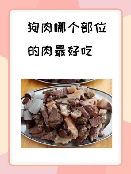 家常狗肉的做法_狗肉炖多久才软烂-第2张图片-山城妙识