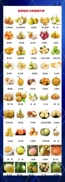 最好吃的梨品种有哪些_十大梨排名口感对比-第1张图片-山城妙识