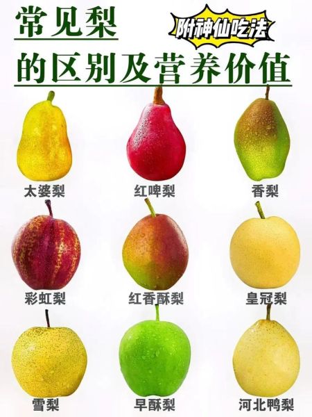 最好吃的梨品种有哪些_十大梨排名口感对比-第3张图片-山城妙识