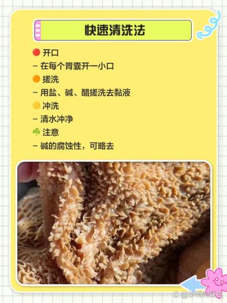 羊肚怎么洗才干净_羊肚去异味最简单方法-第1张图片-山城妙识