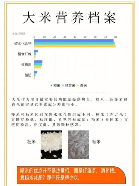 糙米是什么_糙米和白米的区别-第1张图片-山城妙识