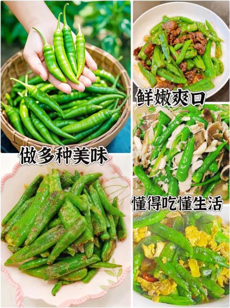 薄皮辣椒怎么挑选_薄皮辣椒辣不辣-第3张图片-山城妙识