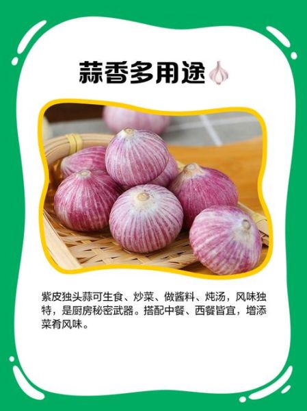 独头蒜和大蒜的区别_哪个营养更高-第2张图片-山城妙识