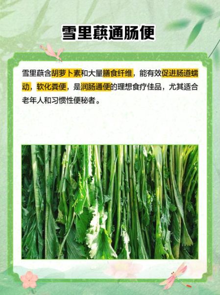雪里蕻的功效与作用_雪里蕻怎么吃最健康-第1张图片-山城妙识