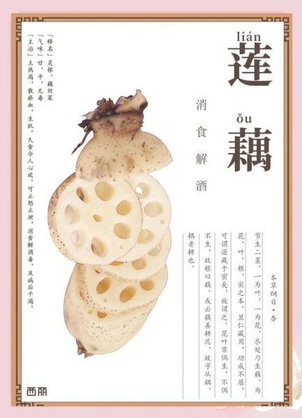 藕的营养价值及功效_吃藕能减肥吗-第1张图片-山城妙识