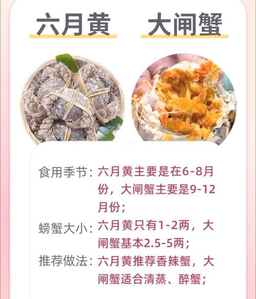 大闸蟹几月份上市_大闸蟹什么时候吃最好-第2张图片-山城妙识