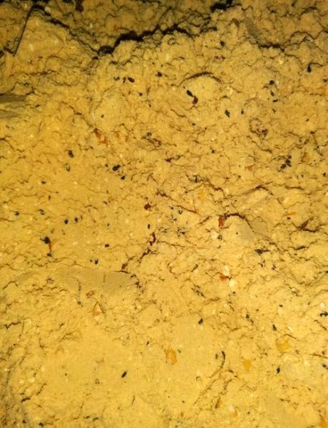 炒油茶面为什么有哈喇味_如何去除哈喇味-第3张图片-山城妙识