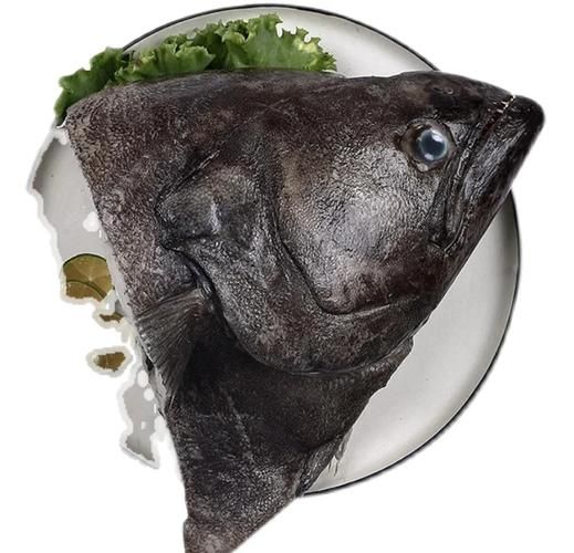 碟鱼是什么鱼_碟鱼与比目鱼的区别-第3张图片-山城妙识