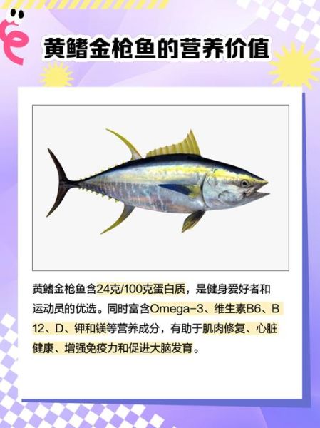 金枪鱼价格多少钱一斤_金枪鱼价格图片大全-第2张图片-山城妙识