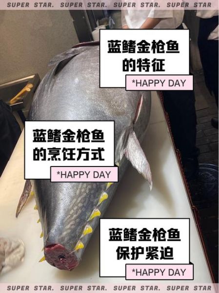 金枪鱼价格多少钱一斤_金枪鱼价格图片大全-第1张图片-山城妙识