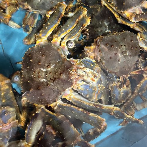 长脚蟹多少钱一斤_长脚蟹价格怎么算-第3张图片-山城妙识