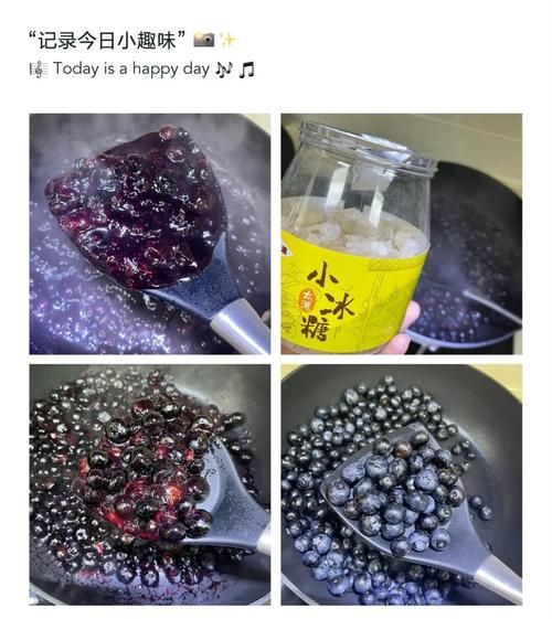 蓝莓果酱怎么吃_蓝莓果酱的吃法大全-第3张图片-山城妙识
