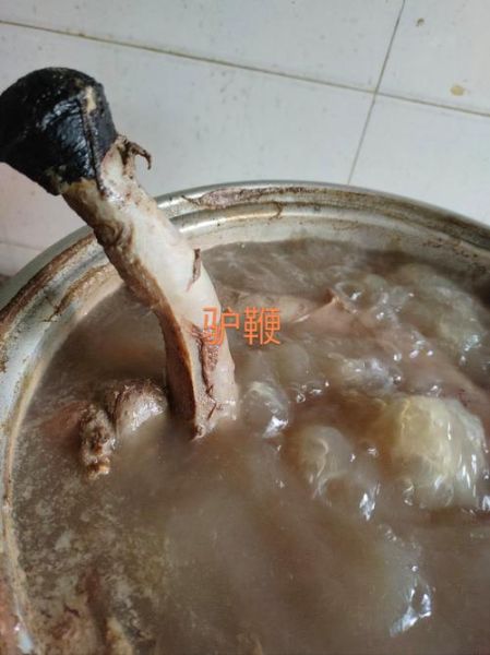 驴鞭的功效与作用_驴鞭怎么吃效果最好-第2张图片-山城妙识