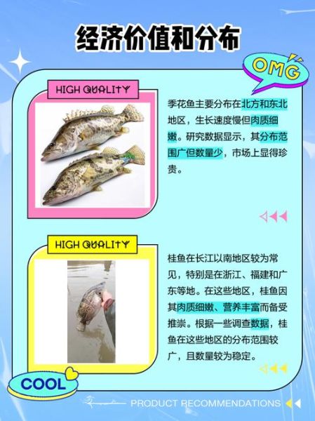 桂鱼和鳜鱼是一种鱼么_区别与选购指南-第3张图片-山城妙识