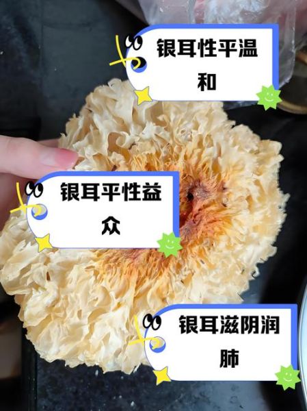 雪耳的功效与作用有哪些_雪耳的禁忌人群有哪些-第3张图片-山城妙识