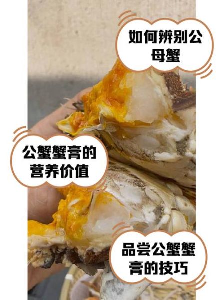 蟹膏的功效与作用_蟹膏的营养价值有哪些-第2张图片-山城妙识