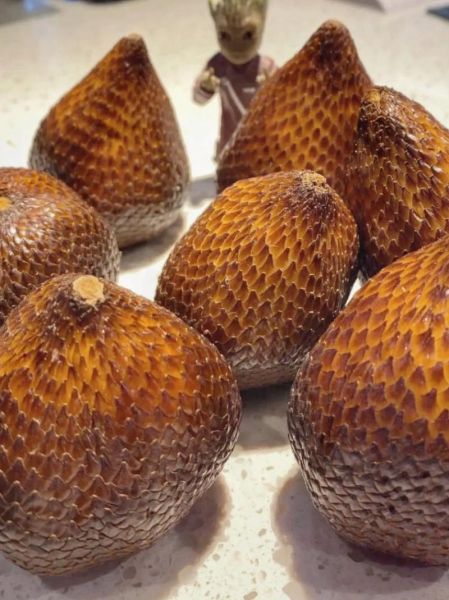 世界上最吓人的水果有哪些_恐怖水果能吃吗-第2张图片-山城妙识