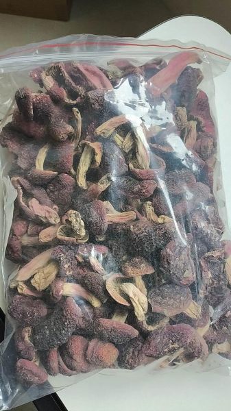 正红菇怎么辨别真假_正红菇价格多少钱一斤-第3张图片-山城妙识