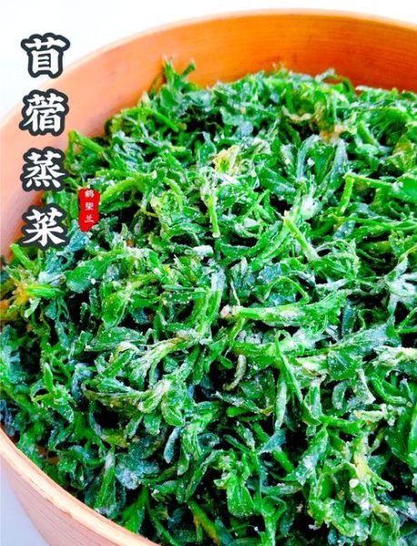 蒸苜蓿菜的做法_蒸苜蓿菜怎么做好吃-第2张图片-山城妙识