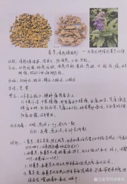 黄芩的功效与作用有哪些_黄芩主治什么病-第3张图片-山城妙识