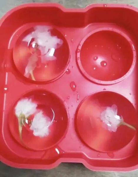 水信玄饼和果冻的区别_哪个更好吃-第1张图片-山城妙识