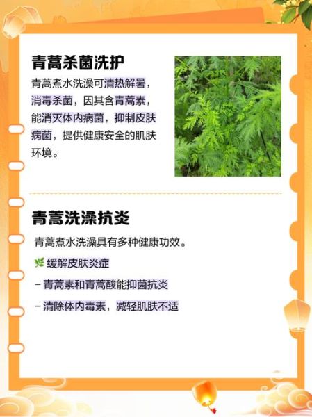 青蒿草的功效与作用_青蒿草能治疗哪些疾病-第3张图片-山城妙识