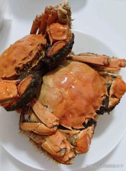 南京大闸蟹哪里买正宗_什么时候最肥美-第2张图片-山城妙识