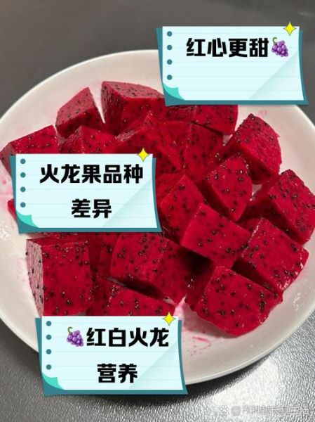 火龙果怎么挑选_红心火龙果和白心区别-第3张图片-山城妙识