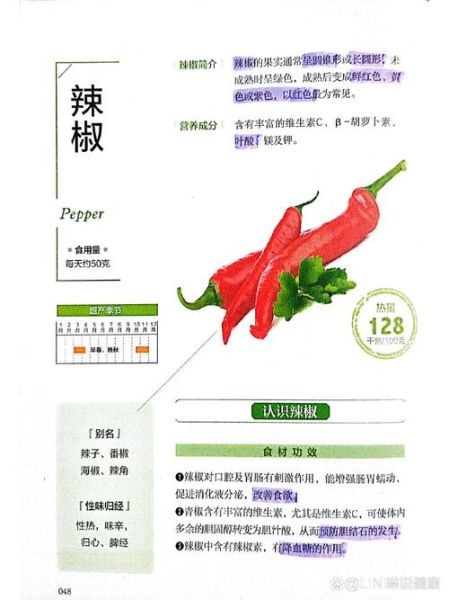 辣椒的营养价值_吃辣椒会上火吗-第1张图片-山城妙识 辣椒的营养价值_吃辣椒会上火吗-第1张图片-山城妙识