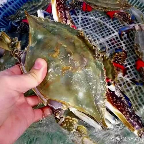 梭子蟹蒸多久最佳时间_如何判断熟透-第3张图片-山城妙识