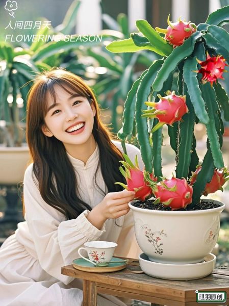 火龙果苗怎么种_火龙果盆栽多久结果-第1张图片-山城妙识