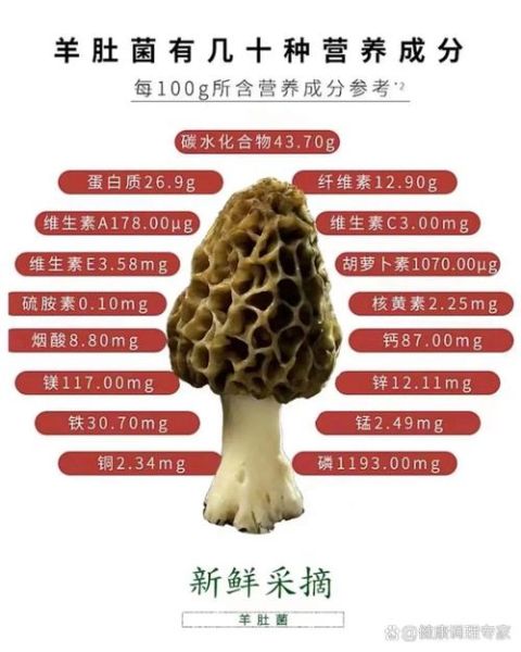 羊肚菌的功效与作用_羊肚菌怎么吃最好-第1张图片-山城妙识