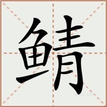 鲭怎么读_鲭鱼是什么鱼-第1张图片-山城妙识