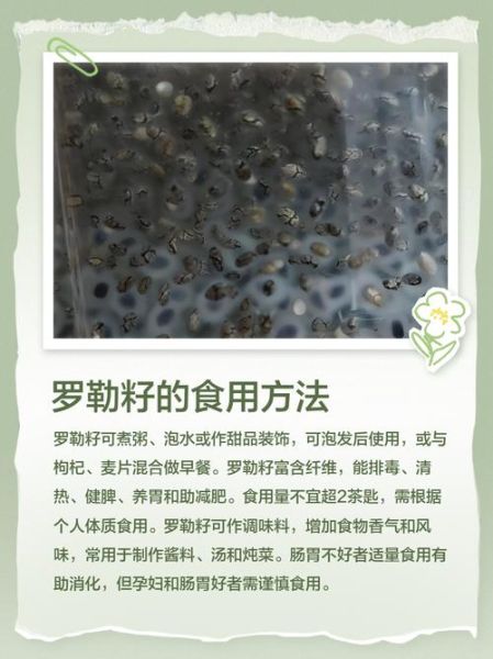 罗勒籽致癌是真的吗_罗勒籽致癌辟谣-第1张图片-山城妙识