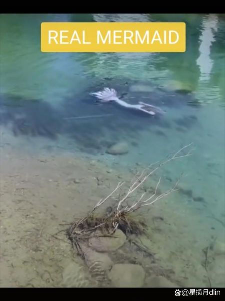 四个不能搜的恐怖事件_真的存在吗-第3张图片-山城妙识