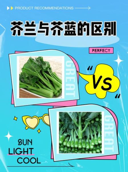 芥兰和芥蓝的区别_芥兰是芥蓝吗-第1张图片-山城妙识