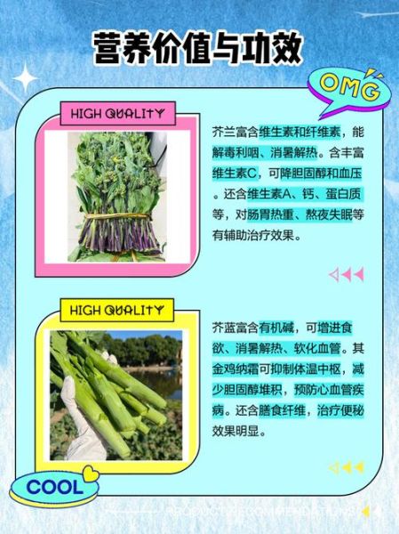 芥兰和芥蓝的区别_芥兰是芥蓝吗-第2张图片-山城妙识