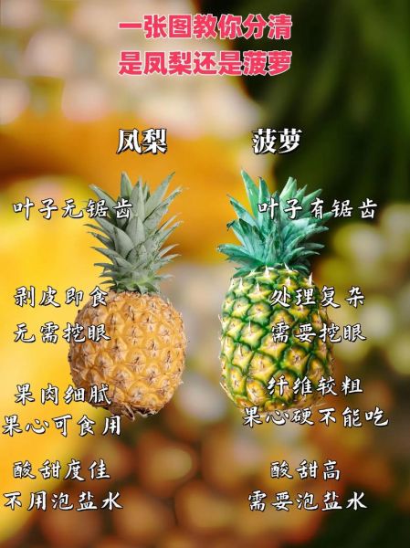 凤梨和菠萝哪个甜_凤梨和菠萝味道区别-第1张图片-山城妙识