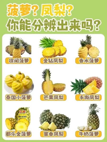 凤梨和菠萝哪个甜_凤梨和菠萝味道区别-第3张图片-山城妙识