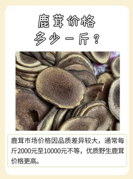 真正的鹿茸多少钱一斤_鹿茸价格真假辨别-第2张图片-山城妙识