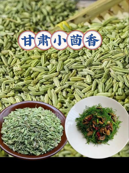 小茴香怎么吃效果好_小茴香怎么吃好-第3张图片-山城妙识